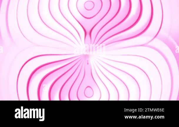 Expanding and shrinking of white and pink animation strips Stock Video ...