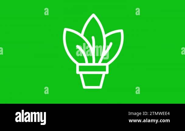 Animated houseplant white line icon. House plant with moving leaves animation. Interior element ...
