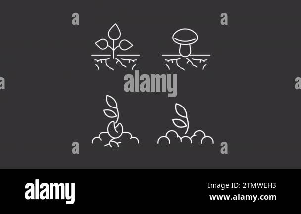 Roots white line icon animation set. Animated plants with growing roots ...