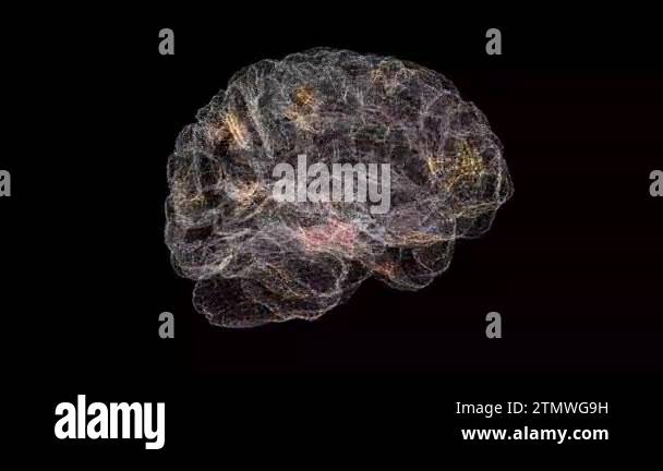 3D Brain Rotating Scan. Brain Scanning Interface. HUD Brain analyze ...