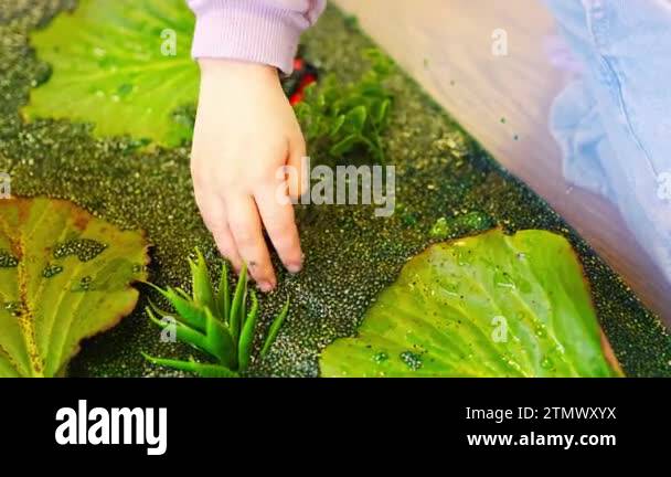 Little girl playing in handmade swamp of green-dyed chia seeds with ...