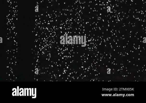 Analog noise glitch overlay. Old film effect. Black white real VHS ...