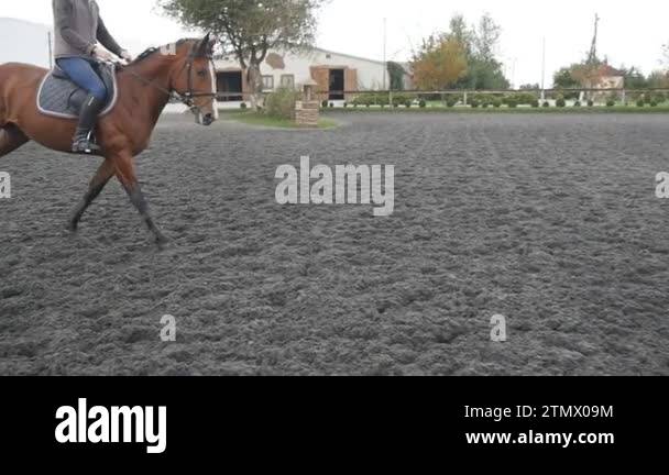 Following to horse is galloping and jumping through a barrier ...