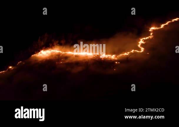 Night fire in the forest with fire and smoke.Epic aerial video of a ...