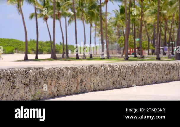 Miami beach wall Stock Videos & Footage - HD and 4K Video Clips - Alamy