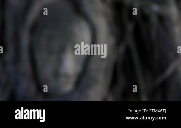 Buddha face in tree Stock Videos & Footage - HD and 4K Video Clips - Alamy