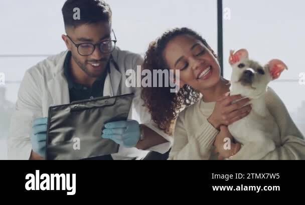 Veterinary inspection animal Stock Videos & Footage - HD and 4K Video ...