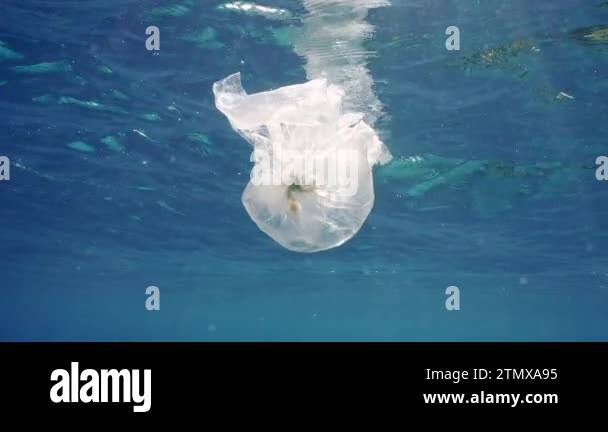 Plastic bag drifts under surface of Ocean in bright sunbeams, slow ...