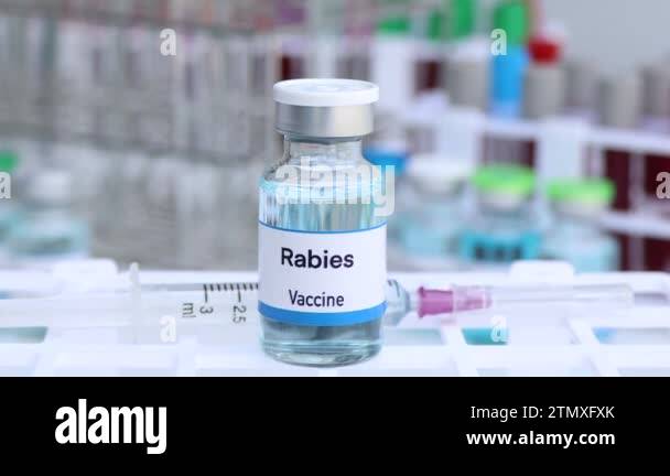 Rabies vaccine in a vial, immunization and treatment of infection ...