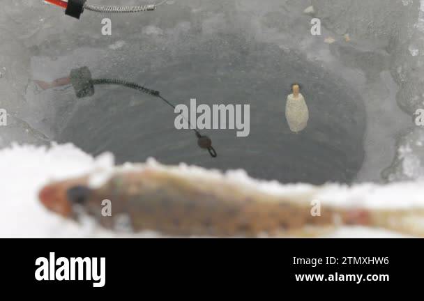 Pole float catch fish Stock Videos & Footage - HD and 4K Video Clips ...