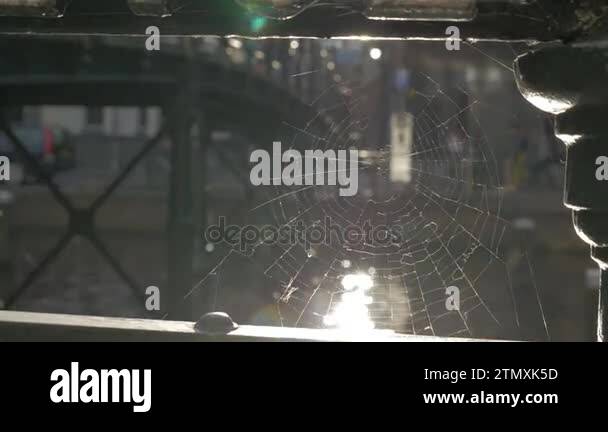 Spider web bridge Stock Videos & Footage - HD and 4K Video Clips - Alamy