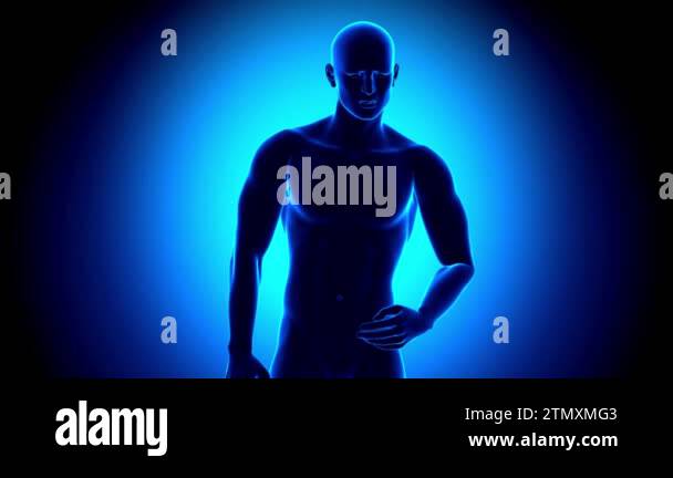 3d animation human body Man Suffering From disease in stomach acid Pain ...