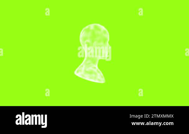 3d Bust Of White Particles Rotates On Green Screen Science Concept 3d Animation Stock Video