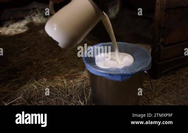 Sheep dairy products not cow Stock Videos & Footage - HD and 4K Video ...