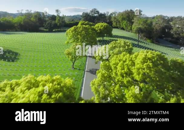 Drone flying low above tree tops along road in cemetery park, Los ...