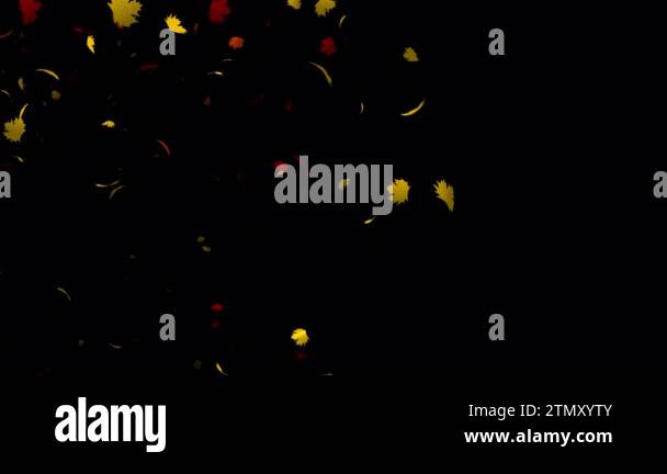 Celebrating the Animated Charm of Floating Maple Leaves. Create a ...