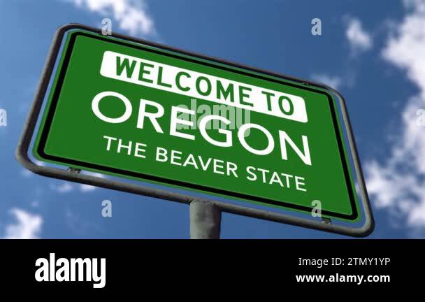 Beaver border Stock Videos & Footage - HD and 4K Video Clips - Alamy