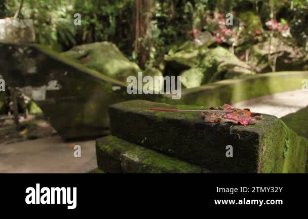 Traditional offerings to the gods. Common religious tradition in the ...