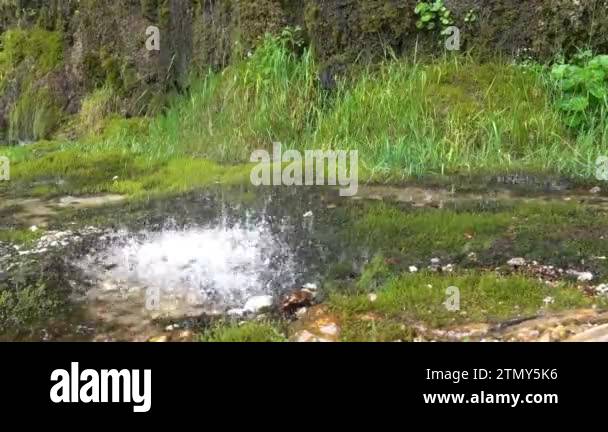 dripping clear cold water from overhanging conglomerate walls named ...