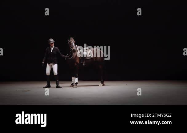 Reins pulling Stock Videos & Footage - HD and 4K Video Clips - Alamy