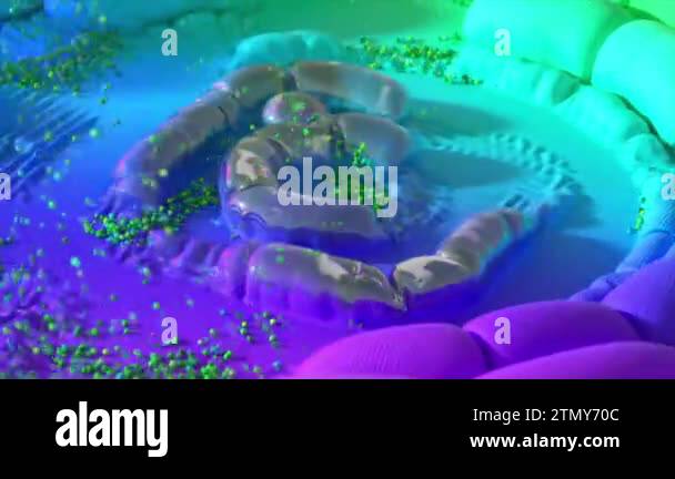 The inflatable Instagram logo emerges from a smooth blue turquoise ...