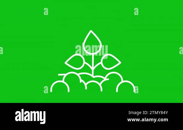 Replanting white line animation. Animated hand relocates plant ...