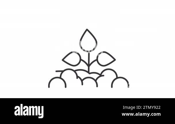 Replanting line animation. Animated hand relocates plant animation ...