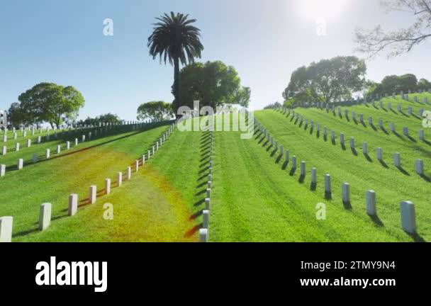 Scenic dolly shot above green field with straight rows white grave ...