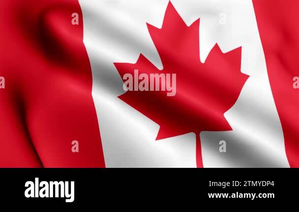 Canada Flag video waving in wind. Canada Flag Wave Loop waving in wind. Realistic Canada Flag ...