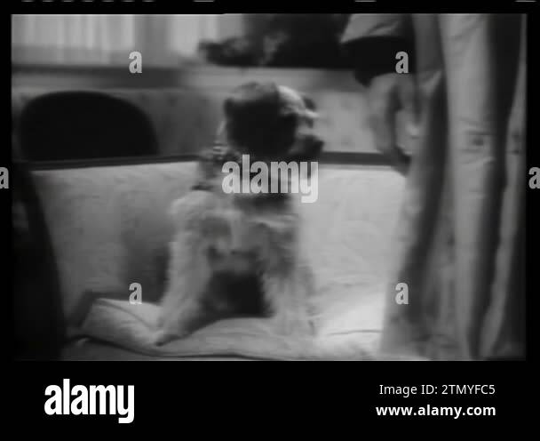 Hiding behind legs Stock Videos & Footage - HD and 4K Video Clips - Alamy