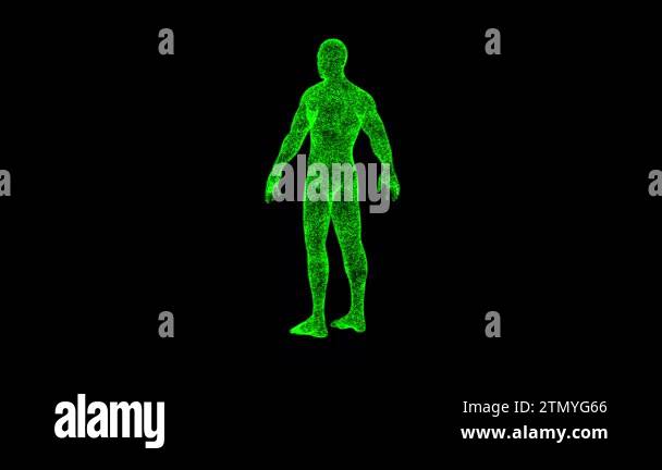 3d Human Body Rotates On Black Background Object Dissolved Green Flickering Particles 60 Fps