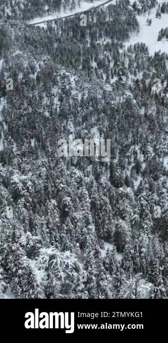 An overhead capture of snowy mountain ranges and a mysterious forest ...