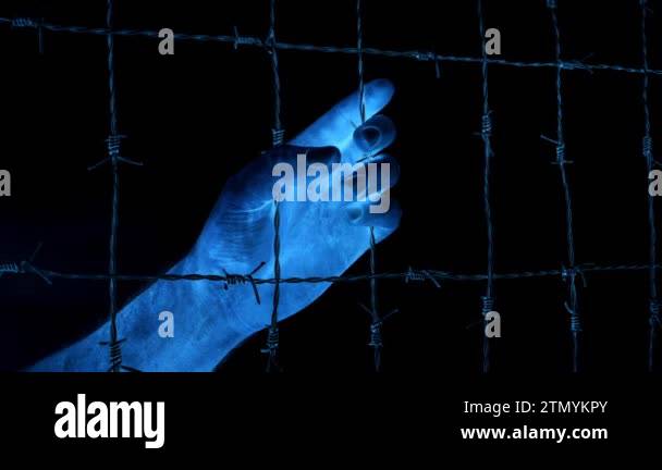 German prisoner of war stalingrad Stock Videos & Footage - HD and 4K ...