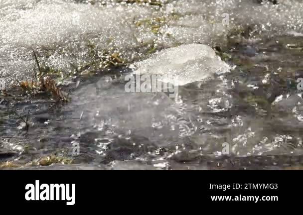 water drop of snow melting at spring footage closeup real time Stock ...
