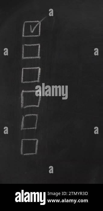 Vertical video. Checkbox list. Done sign. Woman hand marking off tasks ...