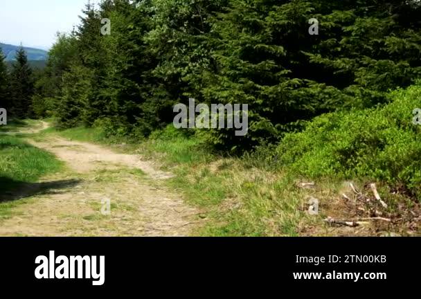Tortuous path Stock Videos & Footage - HD and 4K Video Clips - Alamy