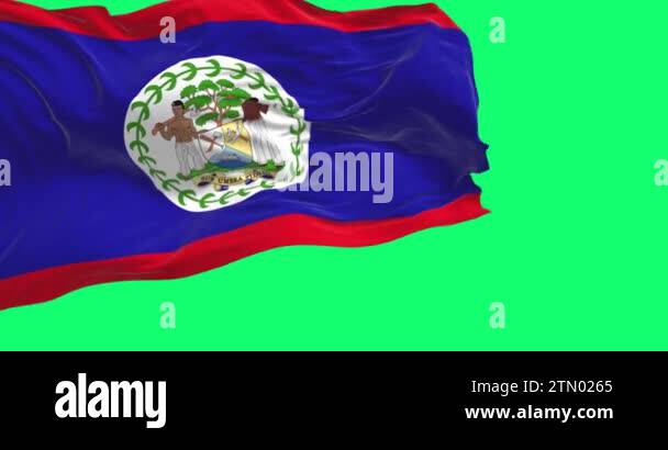 Belize national flag waving on green screen. Blue field, red stripes ...