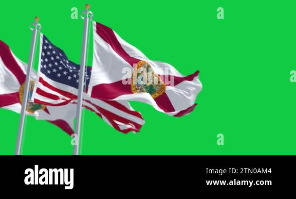 Florida and United States flags waving isolated on a green background ...
