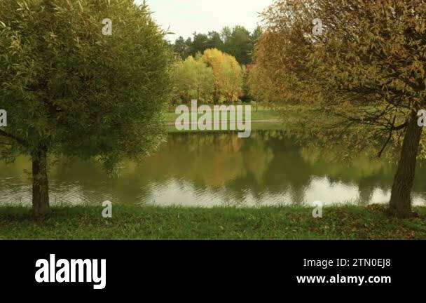 Trees on beach city river Stock Videos & Footage - HD and 4K Video ...