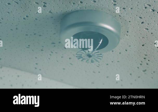 Office sprinkler Stock Videos & Footage - HD and 4K Video Clips - Alamy