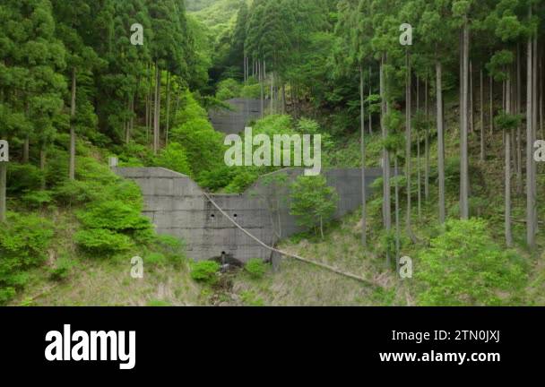 Dry drainage pipe fallen Stock Videos & Footage - HD and 4K Video Clips ...