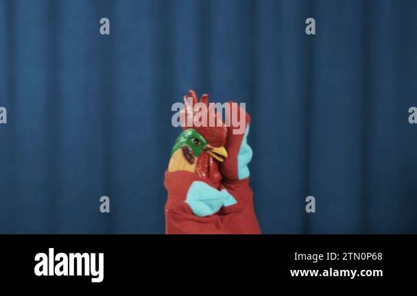 Rooster hand puppet make face palms in distress on scene with blue ...