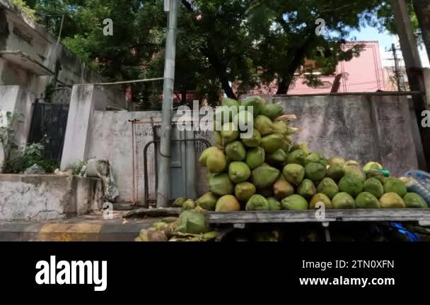Shot of green coconet placed over one another, coconet vendor in India ...