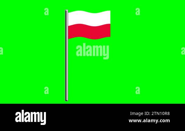 Wavy Poland flag with pole on green screen background Stock Video ...