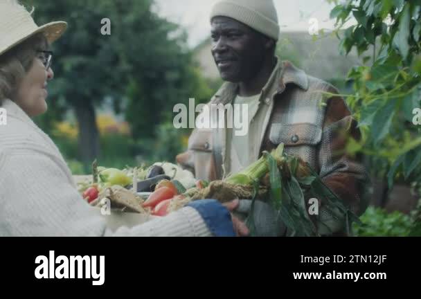 Man carrying crate vegetables Stock Videos & Footage - HD and 4K Video ...