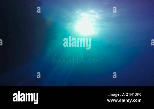 Sun diving in water Stock Videos & Footage - HD and 4K Video Clips - Alamy