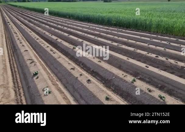 Creating field furrows Stock Videos & Footage - HD and 4K Video Clips ...