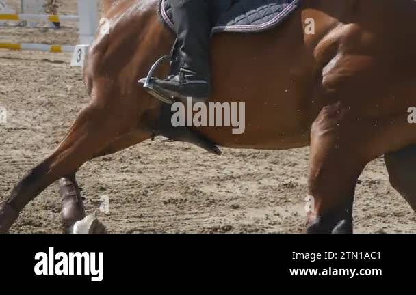 Horse runs and jumps through a barrier at sport competition. Close up ...