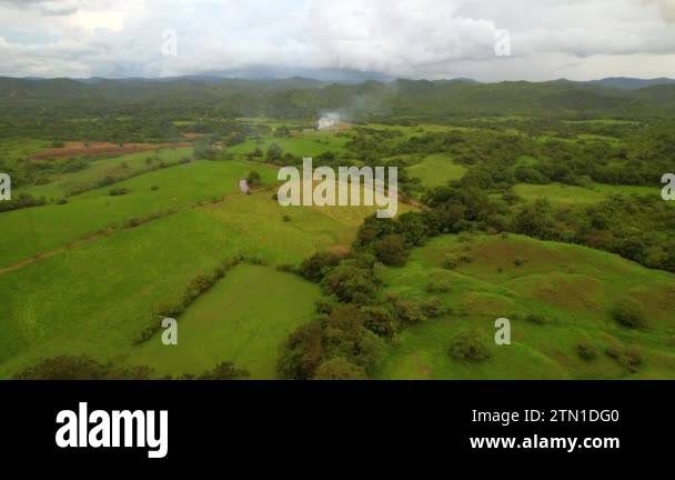 Deforestation aerial view cattle Stock Videos & Footage - HD and 4K ...