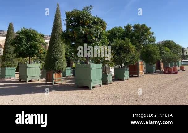 LOrangerie garden in Versailles. The Palace of Versailles and Garden ...